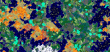[Logiciel] AMIDST - Minecraft-France