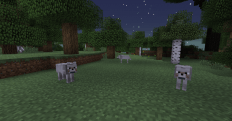 Mod : The Twilight Forest [1.7.10 - 1.16.5] - Minecraft-France