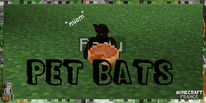 [Mod] Pet Bats [1.7.10 - 1.11.2] - Minecraft-France.fr