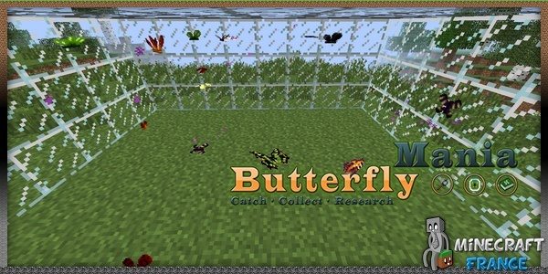 [Mod] Butterfly Mania [1.7.10] - Minecraft-France