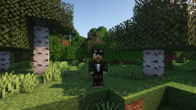 Comment installer un shader pack avec Optifine ? - Minecraft-France