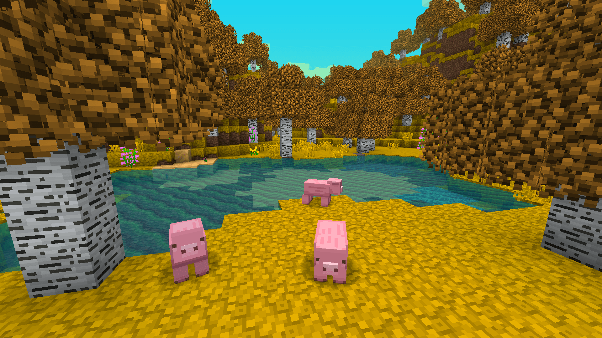 [Resource Pack] Radiant Pixels [1.9 - 1.12] - Minecraft-France