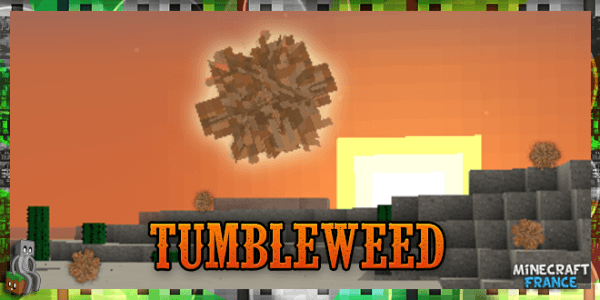 [Mod] Tumbleweed [1.7.10 - 1.12.2] - Minecraft-France