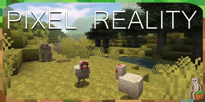 [Resource Pack] Pixel Reality [1.7 - 1.13] - Minecraft-France