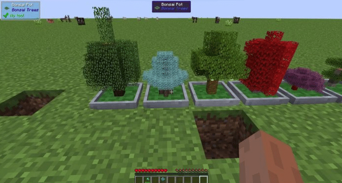 [mod] Bonsaï Trees Mod [1 12 2] Minecraft France