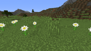 Resource Pack : Verseus [1.8 - 1.16] - Minecraft-France