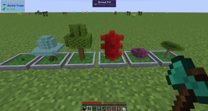 [Mod] Bonsaï Trees Mod [1.12.2] - Minecraft-France