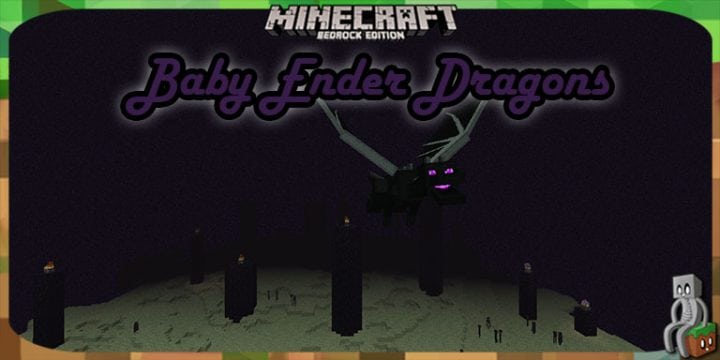 [Addon Bedrock] Baby Ender Dragons - Minecraft-France