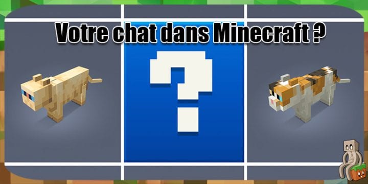 Votre chat dans Minecraft ? - Minecraft-France