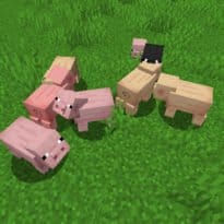 Mod : Quark [1.9.4 - 1.16.5] - Minecraft-France