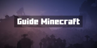 Découvrez nos Meilleurs Guides pour Minecraft