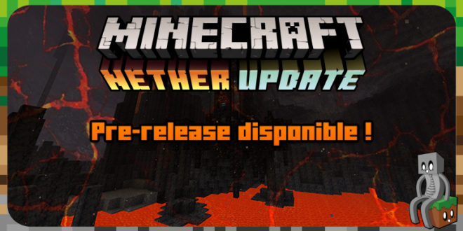 Minecraft 1.16 : Pre-release n°8 disponible ! - Minecraft-France
