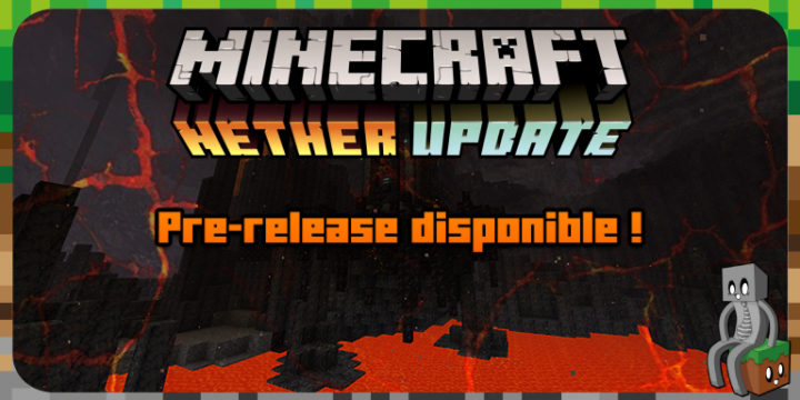 Minecraft 1.16 : Pre-release n°8 disponible ! - Minecraft-France