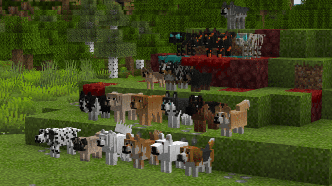 Resource Pack : Better Dogs [1.8 - 1.21] - Minecraft-France