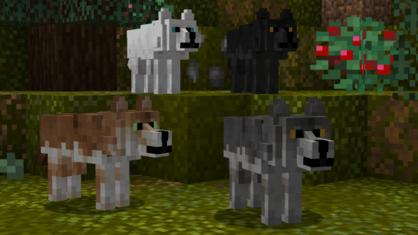 Resource Pack : Better Dogs [1.8 - 1.21] - Minecraft-France