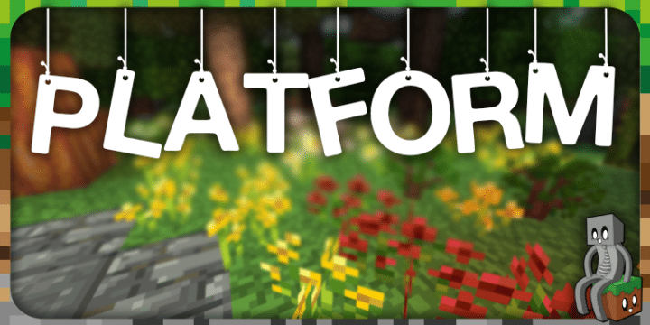 Resource Pack : Platform [1.16] - Minecraft-France