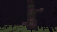 Mod : The Outer End [1.16.5] - Minecraft-France