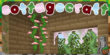 Resource Pack : Cottagecraft [1.16] - Minecraft-France