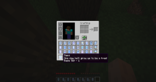 Mod : Buddycards 🃏 [1.16.5 - 1.18.2] - Minecraft-France