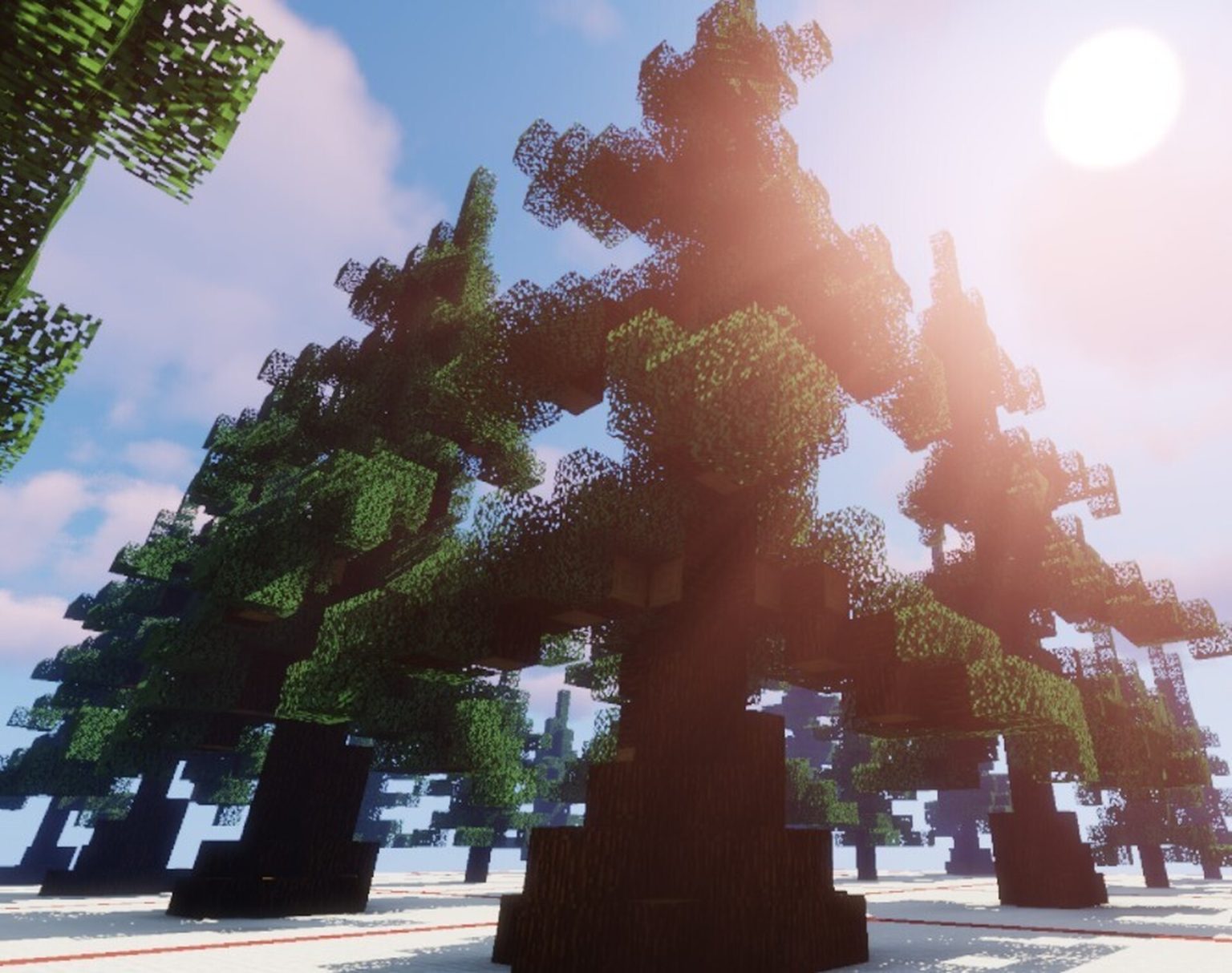 Map : 64 arbres personnalisés pour Minecraft [1.16] - Minecraft-France