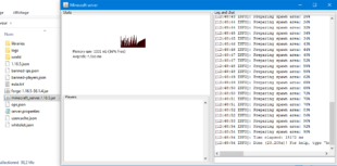 Comment créer un serveur Minecraft avec des mods - Minecraft-France