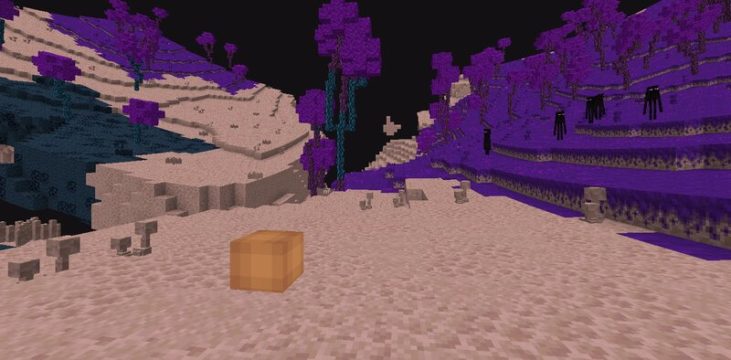 Resource Pack : Biomes of the End Remastered [1.16] - Minecraft-France