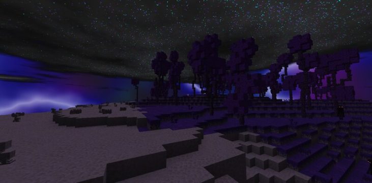 Resource Pack : Biomes of the End Remastered [1.16] - Minecraft-France