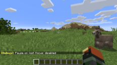 Comment fonctionne la touche F3 dans Minecraft ? - Minecraft-France