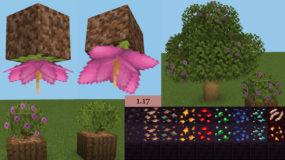 Resource Pack : Nature X [1.16 - 1.17] - Minecraft-France