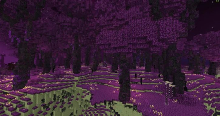 [Mod] BetterEnd [1.16.5 - 1.21] - Minecraft-France