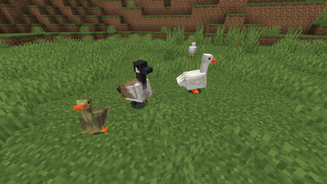 Mod : Untitled Duck [1.16.5 - 1.19.2] - Minecraft-France