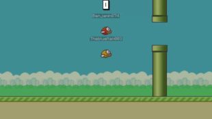 Map : Flappy Bird 🐤 [1.17.1] - Minecraft-France