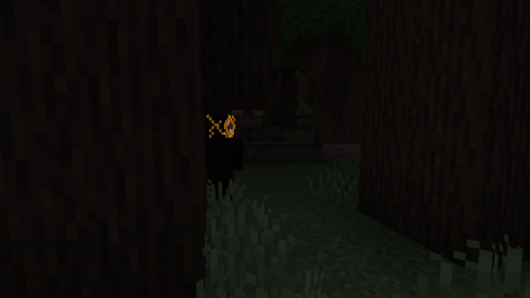 Mod : Observed 🧐[1.16.5 - 1.19.4] - Minecraft-France