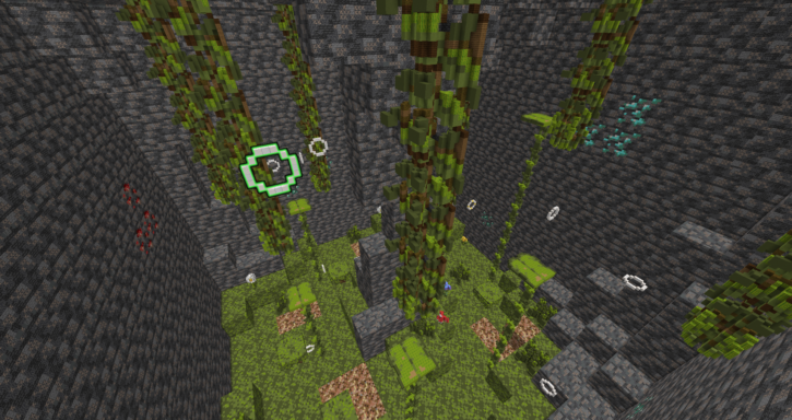 Map : Elytra Rush [1.17] 🦅 - Minecraft-France