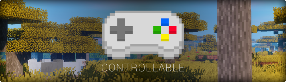 Mod : Controllable 🎮[1.12.2 - 1.21.8] - Minecraft-France