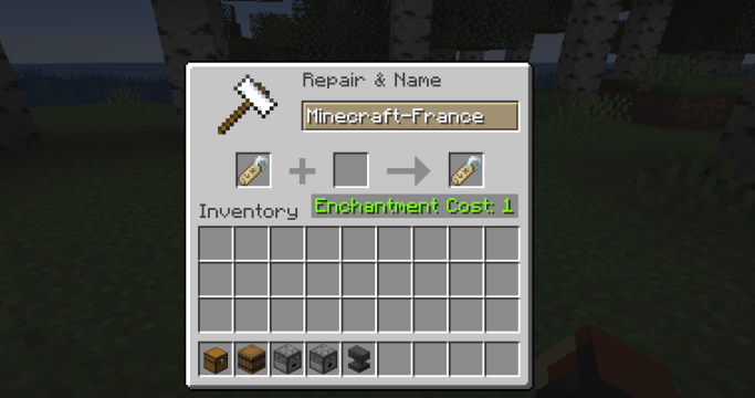 Comment fonctionne l'étiquette (Name Tag) dans Minecraft - Minecraft-France