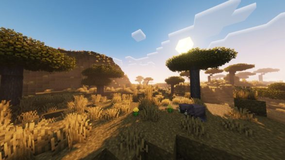 Resource Pack : Visual Plus [1.17] - Minecraft-France