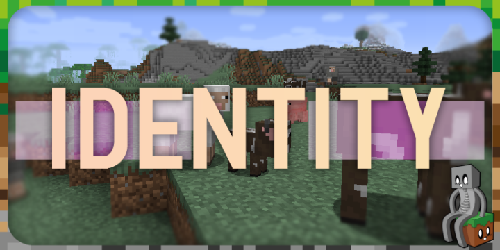 [Mod] Identity [1.16.5 - 1.19.1] - Minecraft-France
