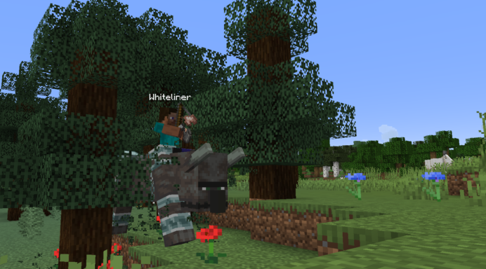 Datapack : Ravager Jockey [1.17.1] - Minecraft-France