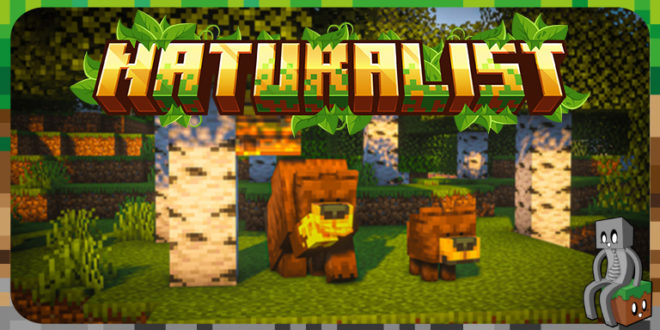 [Mod] Naturalist [1.18.2 - 1.19.2] - Minecraft-France