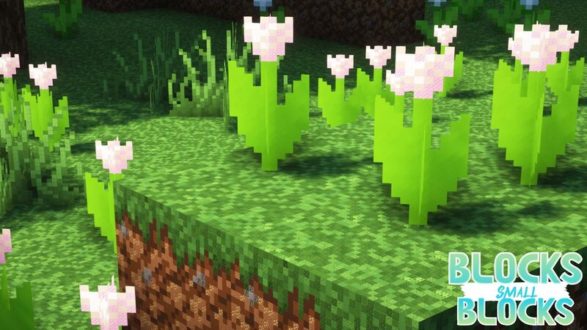 Resource Pack : Blocks Small Blocks [1.18] - Minecraft-France