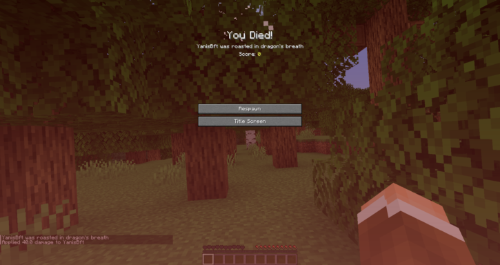 [Tutoriel] La commande /damage [1.19.4+] - Minecraft-France