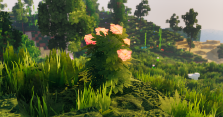 [Resource Pack] Coven [1.17 - 1.21] - Minecraft-France