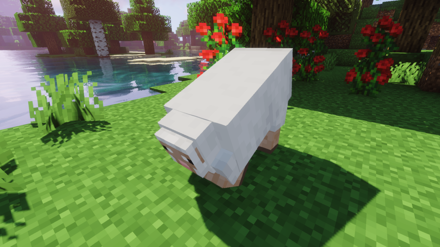 Mod : Better Animations Collection [1.9.4 - 1.21.8] - Minecraft-France