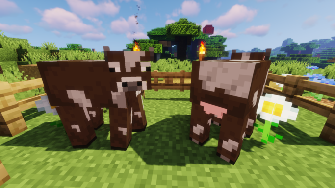 Mod : Better Animations Collection [1.9.4 - 1.21.8] - Minecraft-France