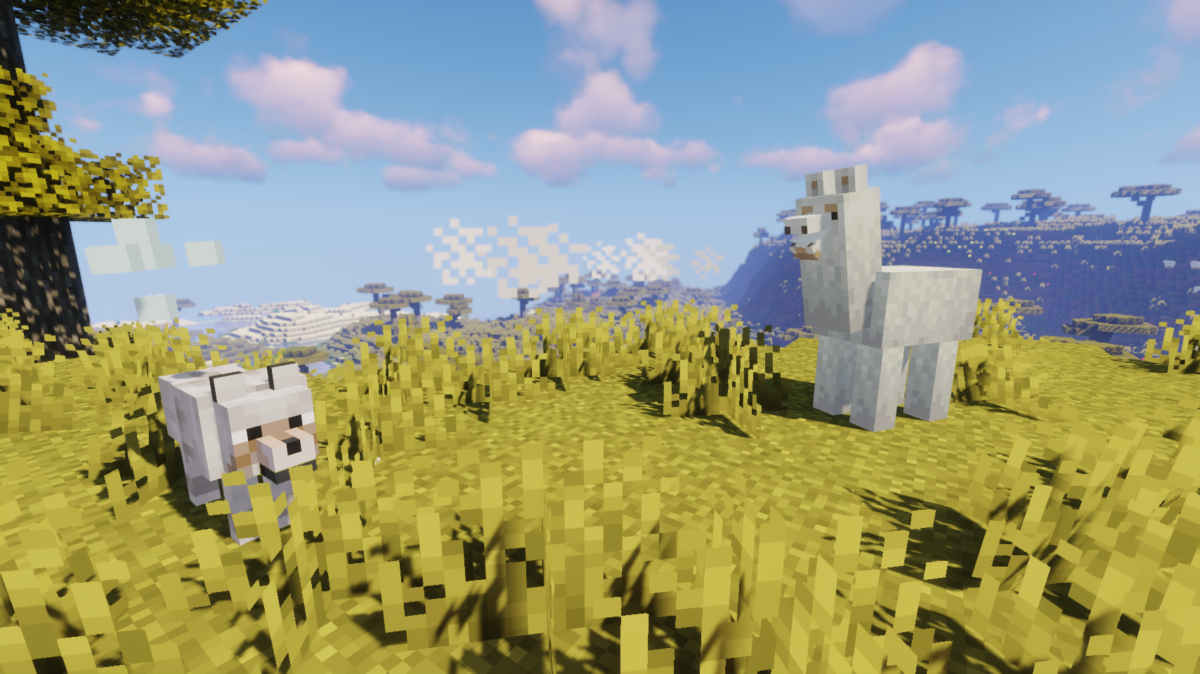 Mod : Better Animations Collection [1.9.4 - 1.21.8] - Minecraft-France