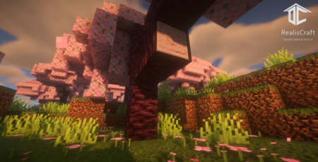 [Resource Pack] RealisCraft [1.12 - 1.21] - Minecraft-France