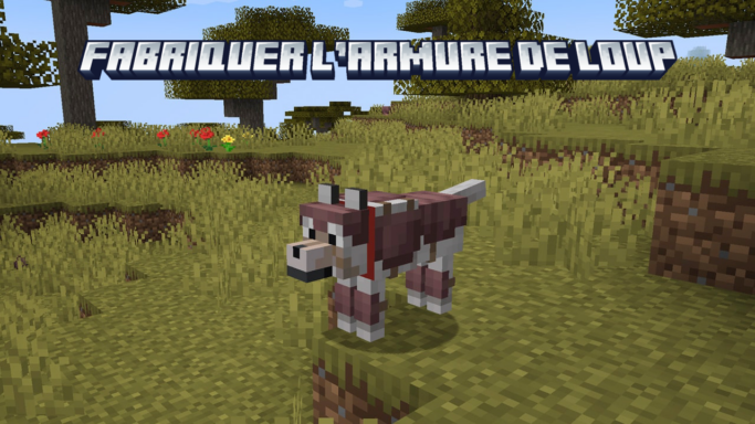 Comment fabriquer une armure de loup dans Minecraft ? - Minecraft-France