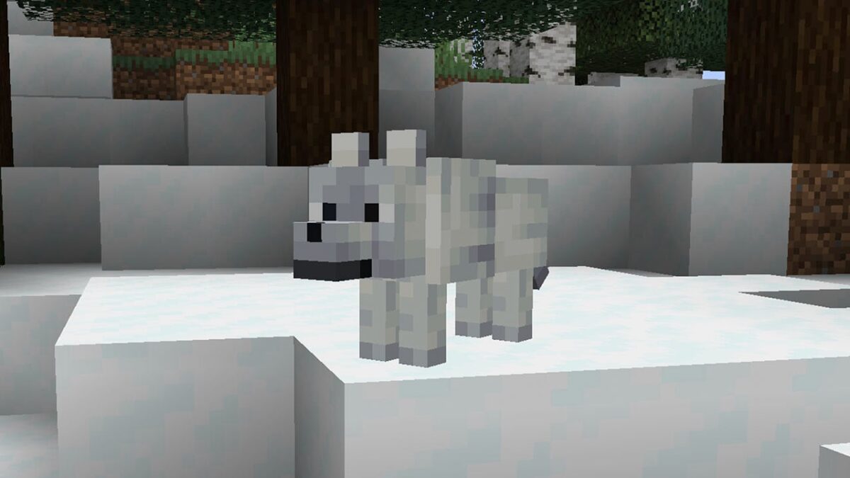 De nouveaux loups arrivent dans Minecraft ! - Minecraft-France