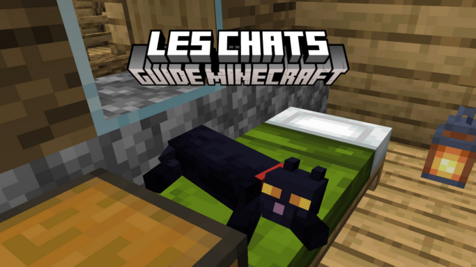 Chat Minecraft : Guide Complet - Minecraft-France
